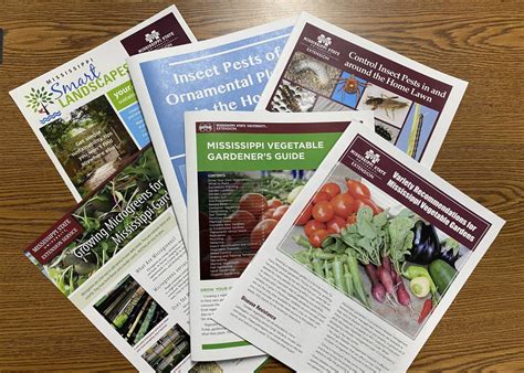 Mississippi State University Extension Service