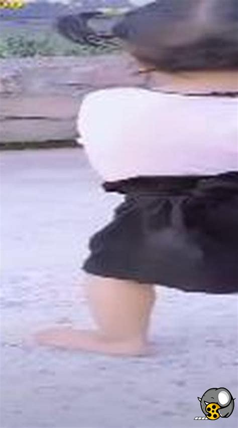 رقص زیبای دختر بچه فیلو