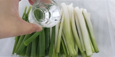냉장보관한 대파가 한 달 내내 싱싱한 비결은 이것 한잔 선데이라이프