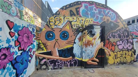 How To Improve This Cat R Graffhelp