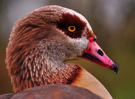 Uk Stephanie Sammann Nature And Travel Photography