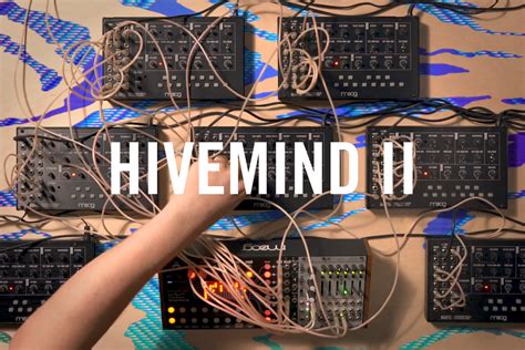 mavis goes electro new video showcases sonic range of moog s eurorack