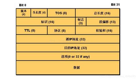 ip报文头部详解 ip报文头部字段 csdn博客