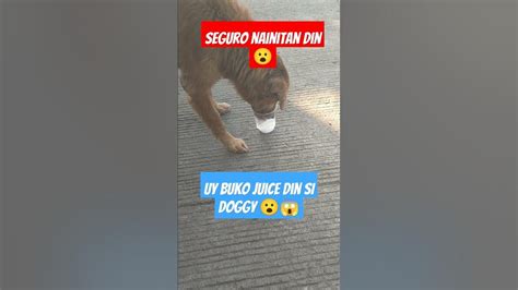 Aso Nag Buko Juice 😮oh No😱 Youtube