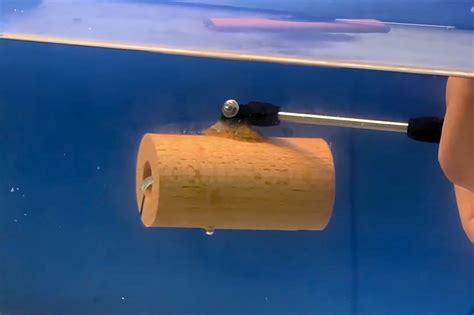 Scientists Use Living Pill Bugs As Grippers For Robots To Help Them