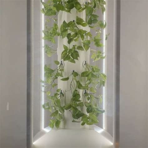 Ginkgo Air Ginkgo Sustainability Green Roofs And Living Walls