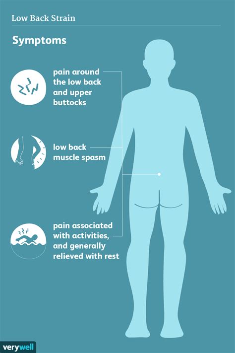 Lumbar Spine Anatomy And Function