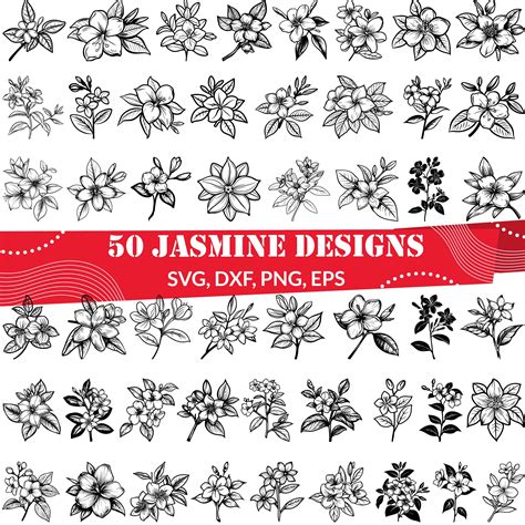 Jasmine SVG Bundle Jasmine Flower Svg Jasmine Dxf Jasmine Png Jasmine Vector Jasmine