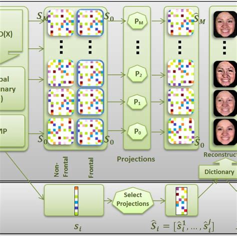 The Overall Structure Of Local Linear Regression Of Sparse Features