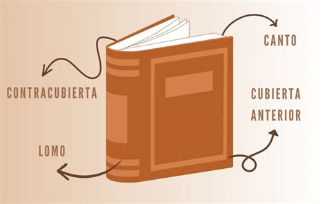 Cuáles Son Las Partes De Un Libro Flavo Domus Editorial