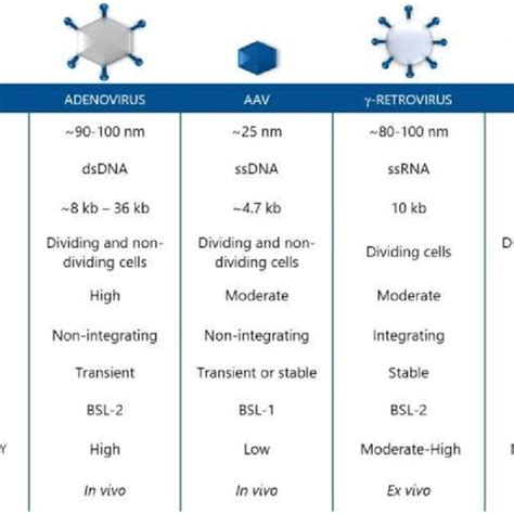 Different Types Of Viral Vectors Viral Vector And Gene Therapy Basics Download Scientific