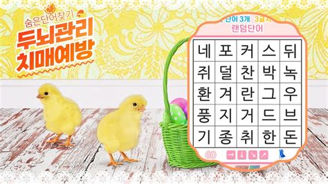 건강한 삶을 위한 두뇌 운동 숨은단어찾기 치매예방 퀴즈 초성퀴즈 단어퀴즈 두뇌운동 뇌건강 치매테스트 기억력 집중력 강화 재밌는 퀴즈 Youtube