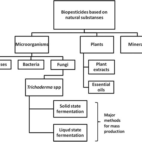 Schematic Representation Of The Different Types Biopesticides Based On Download Scientific