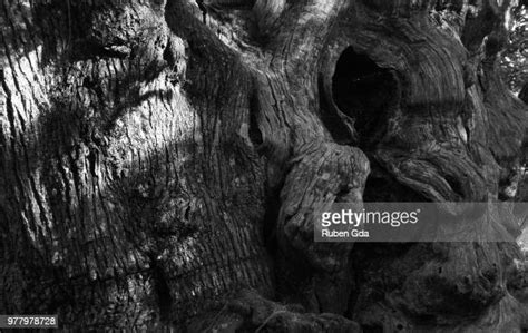 Evil Statue Photos And Premium High Res Pictures Getty Images