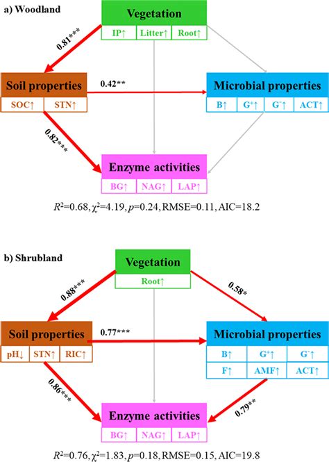 Structural Equation Model Sem Analysis Of The Multivariate Effects On