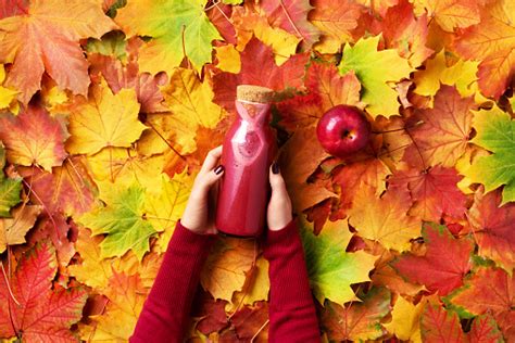 빨간 음료의 병을 들고 여성 손 야채 과일과 열매 사과 잎 배경 위에 비트 뿌리에서 스무디 또는 주스 가을 채식주의 자 및 채식 주의 자 음식 개념 맨 위 보기 개념에 대한