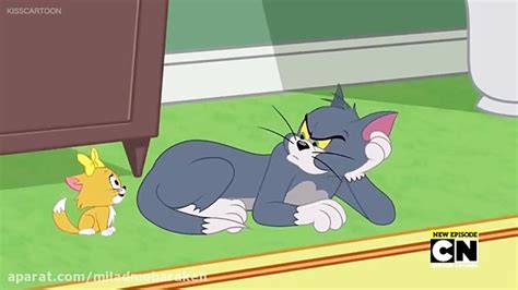 تام و جری جدید کارتون موش و گربه انیمیشن تام و جری