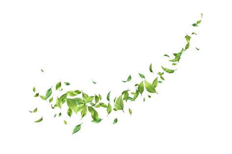 Green Flying Leaves Stock Illustration Download Image Now Istock