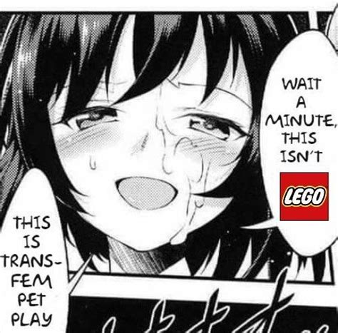 Bait And Switch Rokbuddyhetero