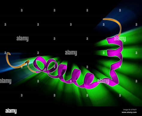 Amyloid Beta Protein Molecular Model Showing The Structure Of Amyloid