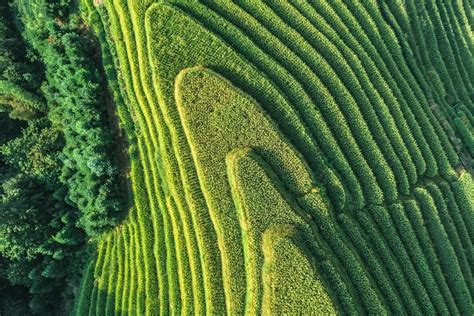 Azure Netapp Files Anf：儲存服務與解決方案 Netapp