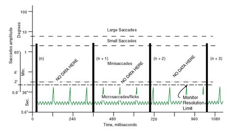 The Saccades Of The Oculomotor System In Vision