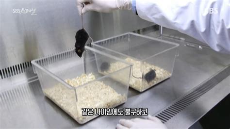 살이 찌는 건 호르몬의 문제다 라고 말하는 다큐멘터리  인스티즈 Instiz 이슈 카테고리