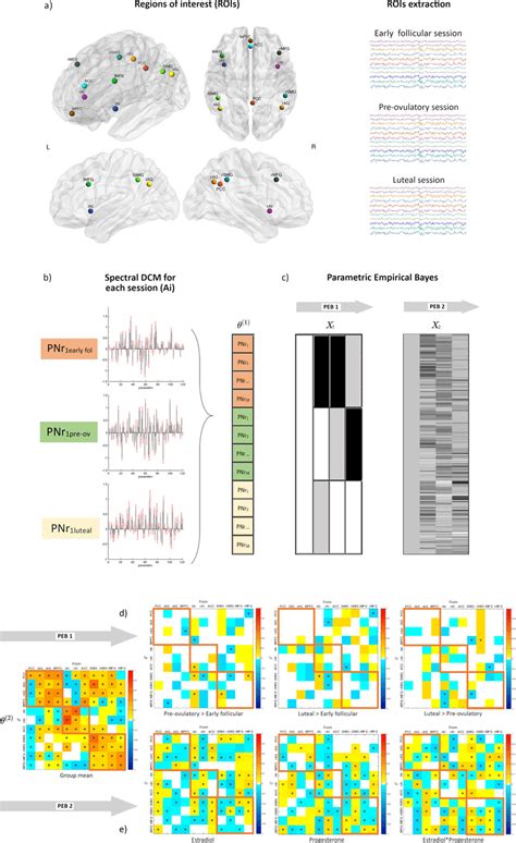Procedures For Dynamic Effective Connectivity Analysis The Regions Of