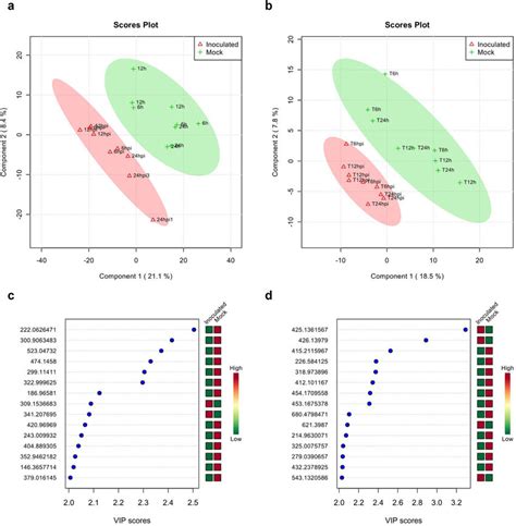 Partial Least Squares Discriminant Analyses Pls Da Pc1pc2 Score