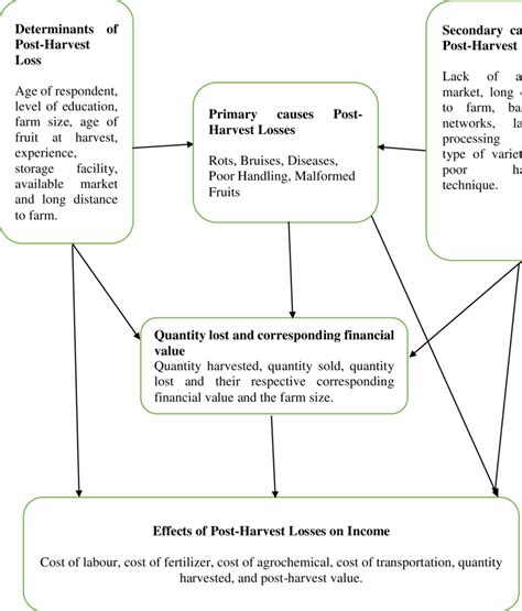 1 Conceptual Framework On The Linkage Between Post Harvest Losses And