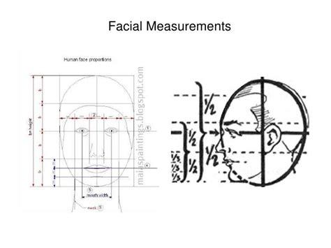 More Drawing Class 4