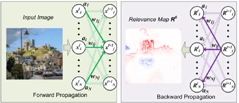 논문 리뷰 Neural Network Interpretability With Layer Wise Relevance