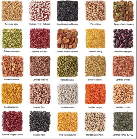 Liste Des Légumineuses
