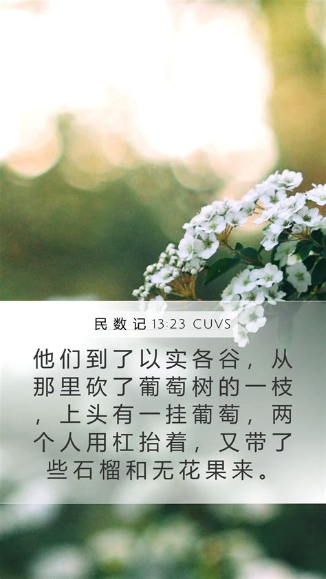 民 数 记 13 23 CUVS Mobile Phone Wallpaper 他 们 到 了 以 实 各 谷 从 那 里