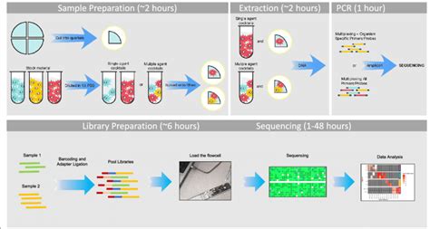 Illustration Of Sample To Sequence Workflow And Estimated Times For Download Scientific Diagram