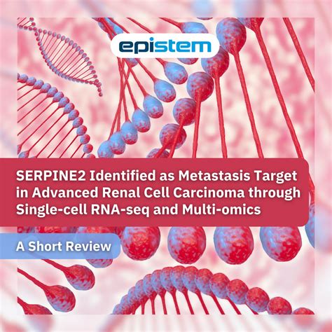 Serpine2 Identified As Metastasis Target In Advanced Renal Cell Carcinoma Through Single Cell