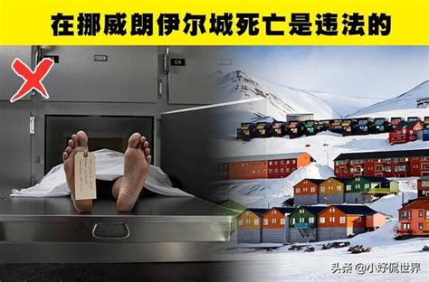 懶惰是一種遺傳特徵？世界上存在的6個奇妙的冷知識 每日頭條