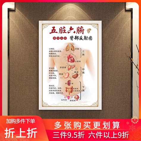 背上对应的五脏六腑图 五六腑疼痛划分图 肝区疼痛位置图后背 大山谷图库
