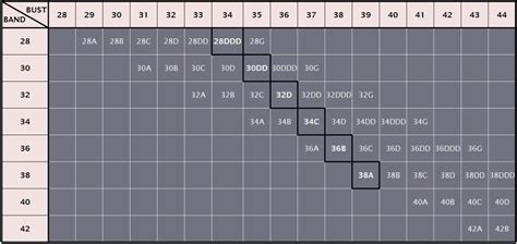 36b Bra Size What It Is And What 36b Boobs Look Like 2023