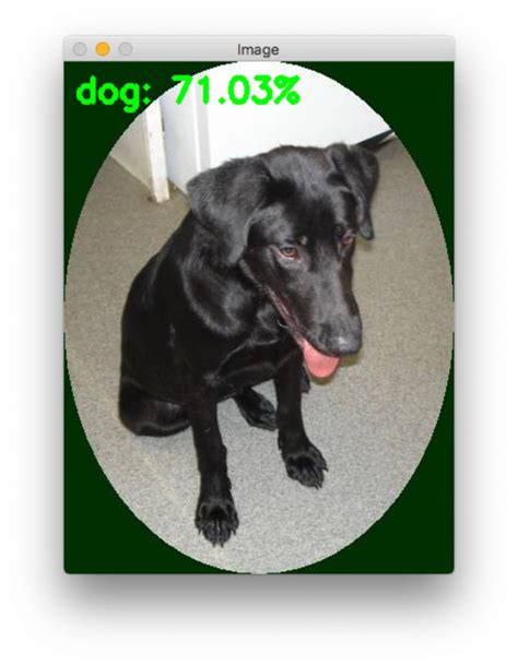 A Simple Neural Network With Python And Keras Pyimagesearch