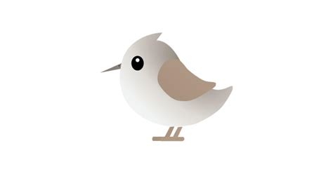 eric seidel on linkedin flutter code push