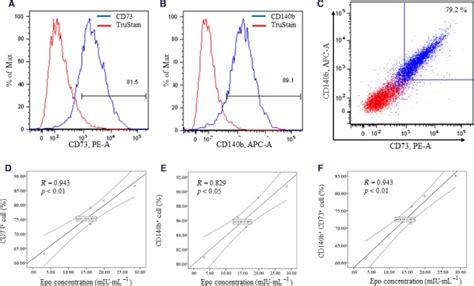Cd140b And Cd73 Are Markers For Human Induced Pluripotent Stem Cell