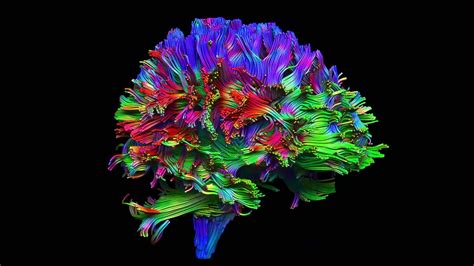 뇌 벽지 Hd프랙탈 아트식물꽃화려 함강청색 488072 Wallpaperuse