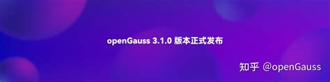Opengauss 310版本正式发布 七个方面全面增强 知乎