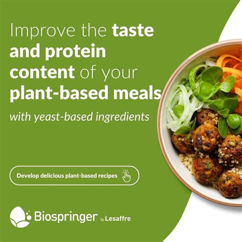 2024 09 Vegan Technical Paper Biospringer By Lesaffre