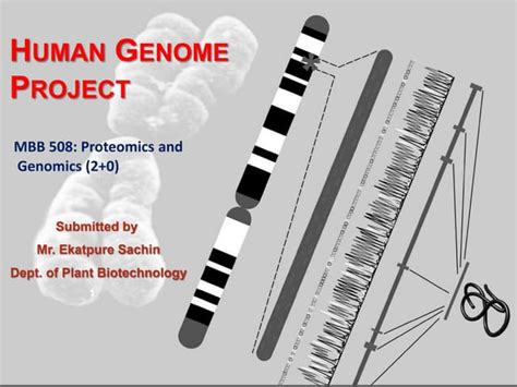 Human Genome Project Pptx