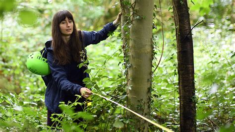 York Living Labs Our Biodiversity Pilot