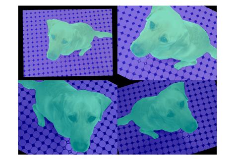 Augment Pixel Labels For Semantic Segmentation Matlab And Simulink