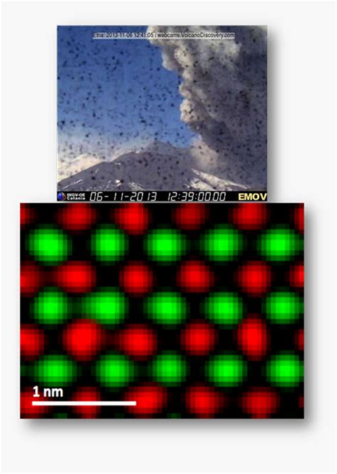 Eels Mapping Hd Png Download Kindpng