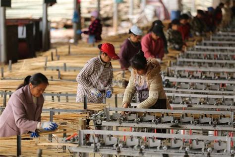 贵州锦屏竹制品产业助力乡村振兴 人民图片网